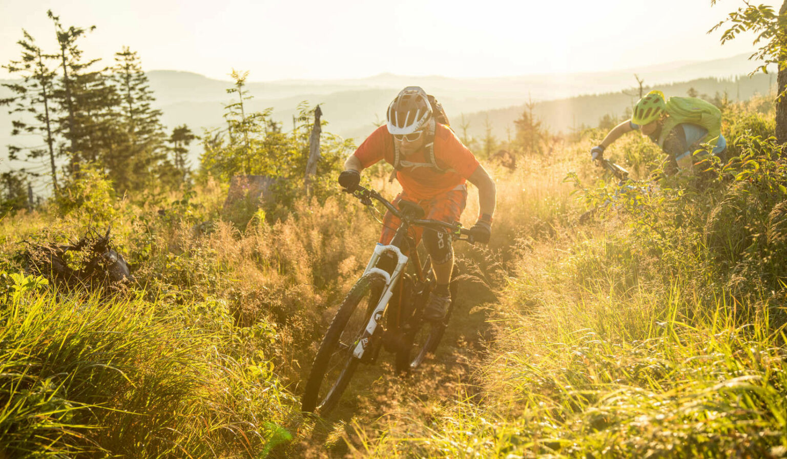 Arberland Bayerischer Wald