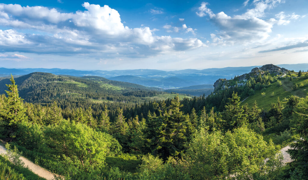 Arberland Bayerischer Wald