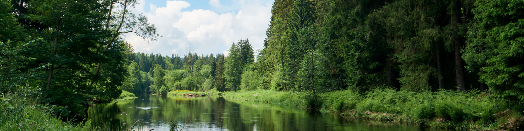 Flusswanderweg von Bayerisch Eisenstein nach Regen - Arberland ...