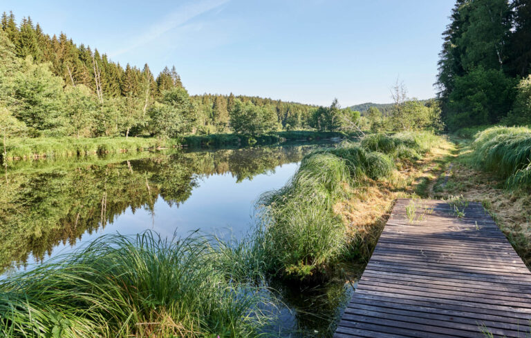 Tourist-Information Regen - Arberland Bayerischer Wald