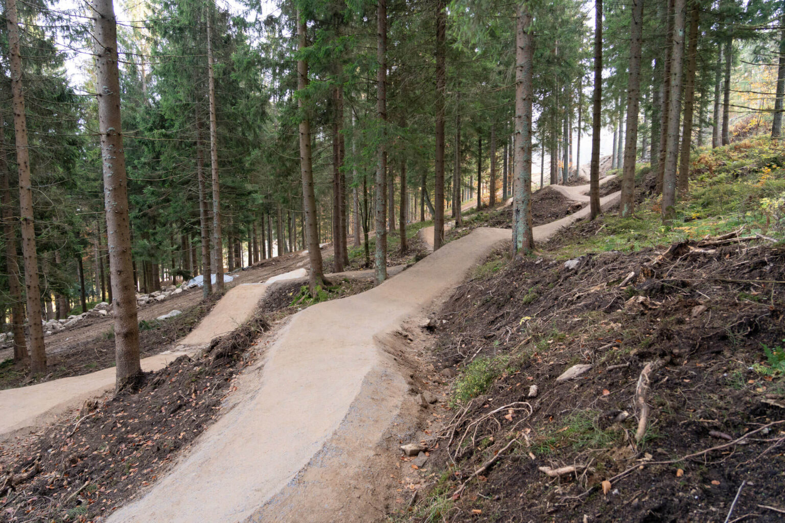 Bikepark Arber - Einer für Alle! - Arberland Bayerischer Wald